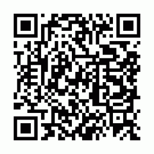 8. Creation of a link for a QR code to transfer customers to the app ...